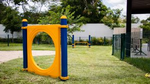 Parques para Perros: 11 Elementos Esenciales Que Necesitan